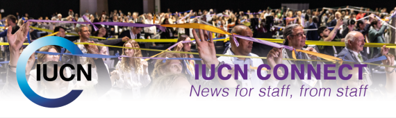 The largest IUCN Congress on record, IUCN Publications & other staff ...