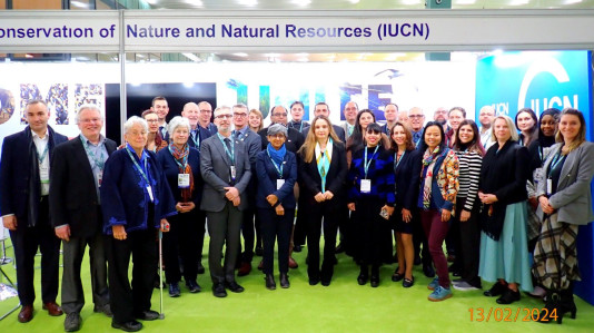 IUCN on the ground at CMS COP14, a new STAR, and more – staff news from February 2024