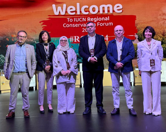 IUCN Commission on Education and Communication (CEC) Newsletter ...