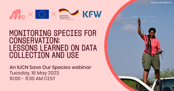 New webinar from IUCN Save Our Species. Register now!