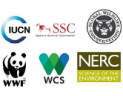 IUCN SSC Species E-Bulletin - April 2020