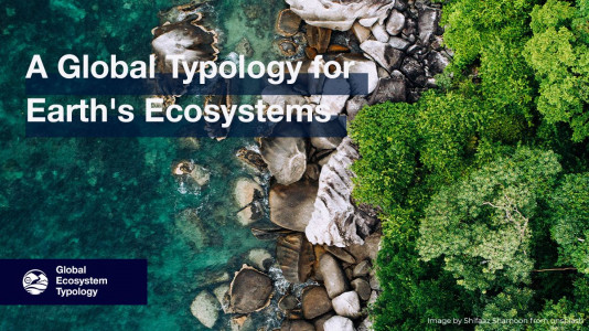 Ecosystem Insider March 2021